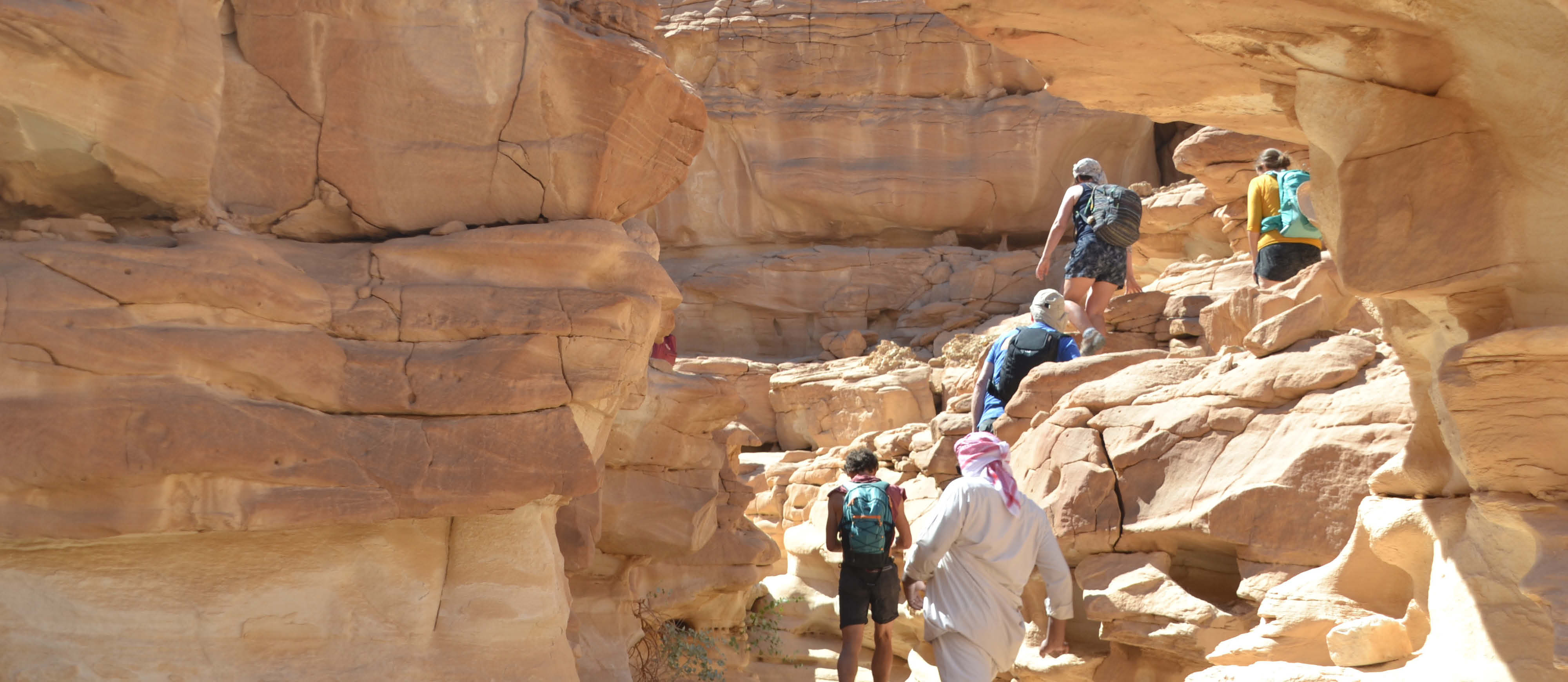 Sinaï woestijn | Desert-Soul